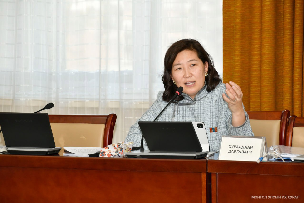 Хүний эрхийг хангах үндэсний 2 дугаар хөтөлбөрийн төслийг батлуулах үүрэг бүхий ажлын хэсэг